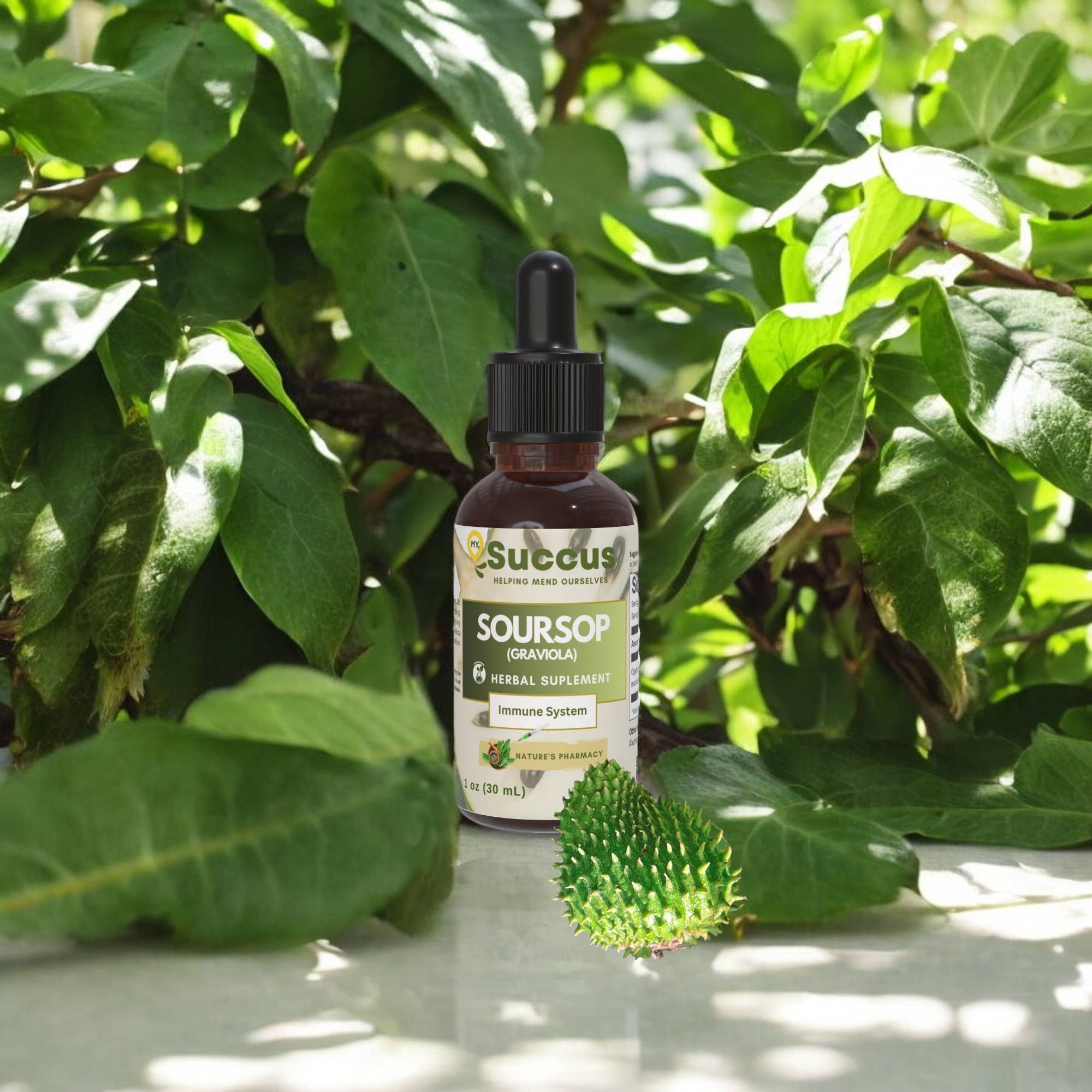 Succus™ Soursop (Graviola) Tincture - Immune System (High Potency ...